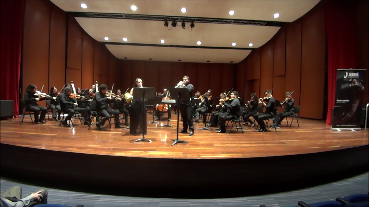 J. D. Heinichen - Concierto en Fa Mayor S. 235 para Violín, Oboe, 2 ...