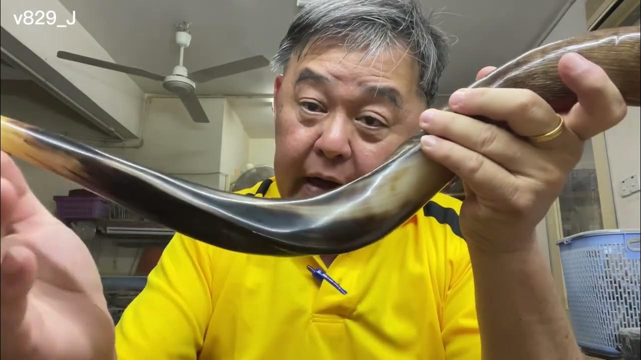 SOLD •ShofarMaker v829_J. A 5 Tone ONM Yemenite Kudu Shofar with a Low G Sound. - YouTube