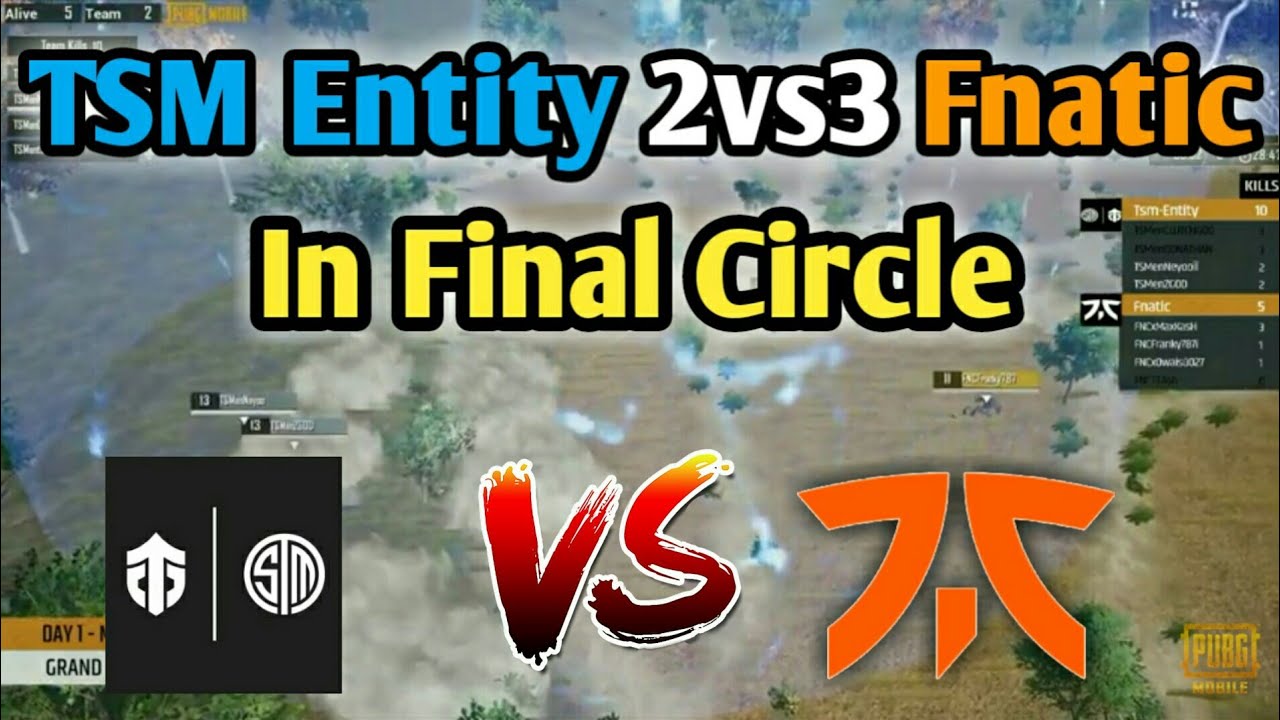 Tsm Entity 2vs3 Fnatic | Tsm Entity vs Fnatic in Final Circle - YouTube