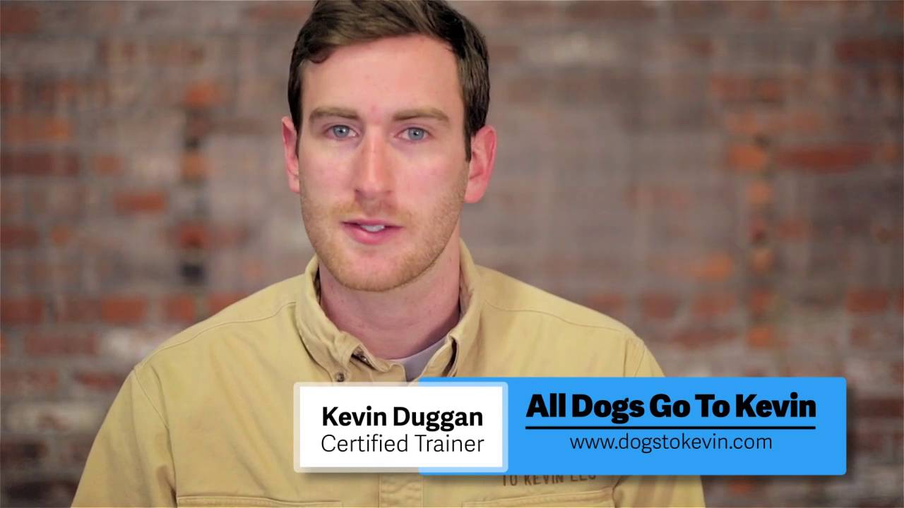 Push n Play featuring Kevin Duggan - YouTube