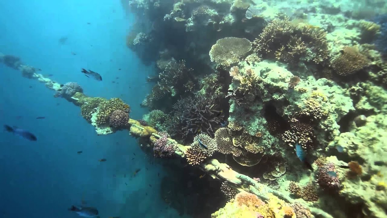 The Great Barrier Reef & Hamilton Island - YouTube