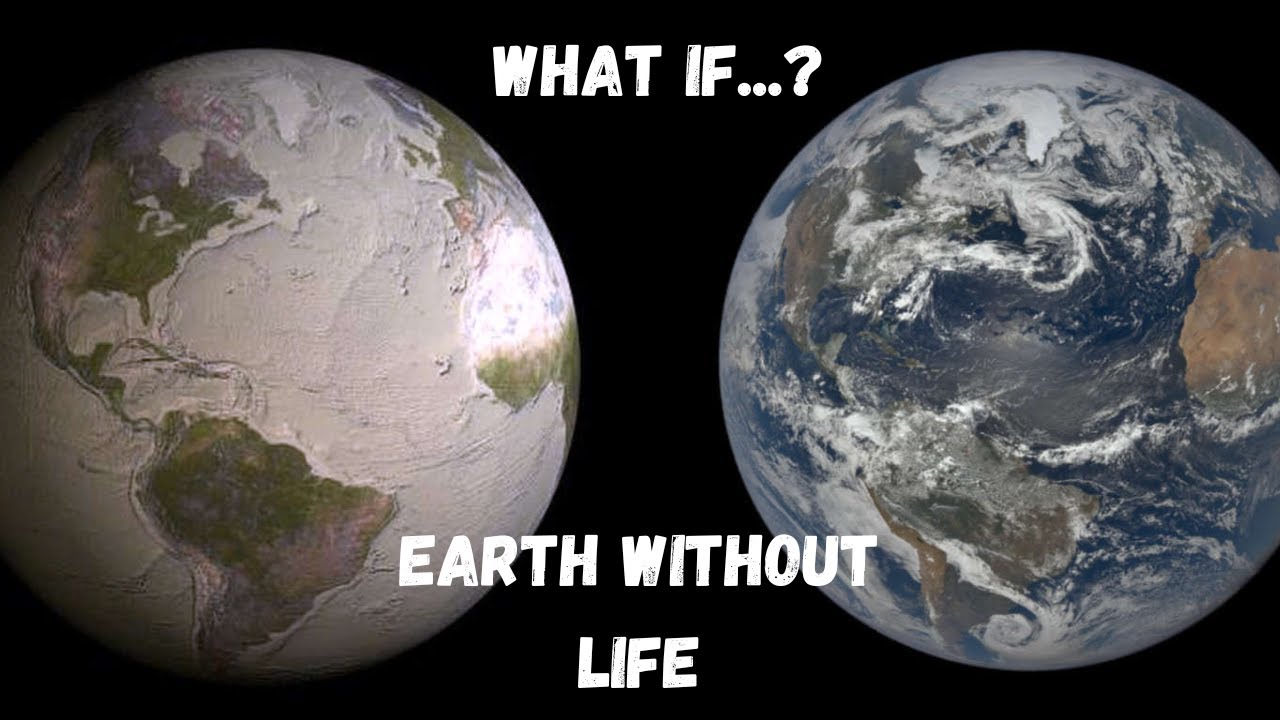 The Uninhabited Planet: Earth in Parallel Realities. - YouTube