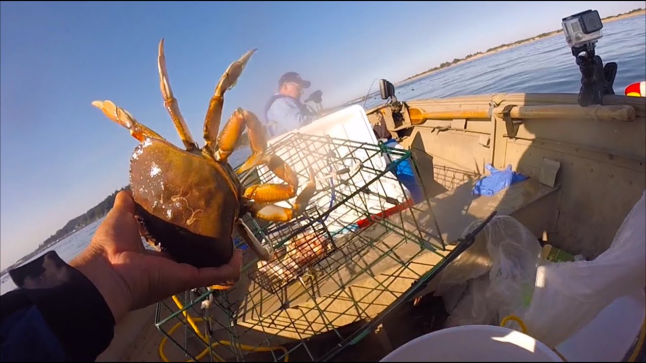 oregon coast crabbing - YouTube