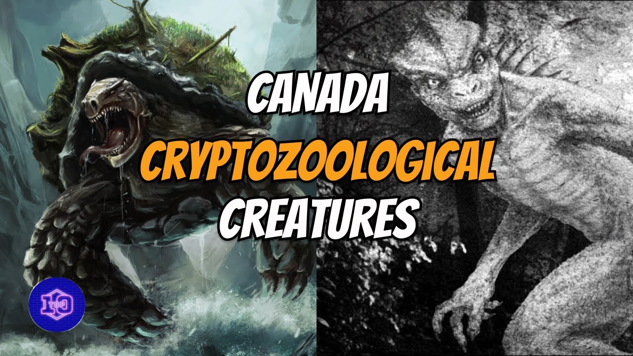 The World of Cryptids: Unveiling the Top 10 Mysterious Creatures Canada - YouTube