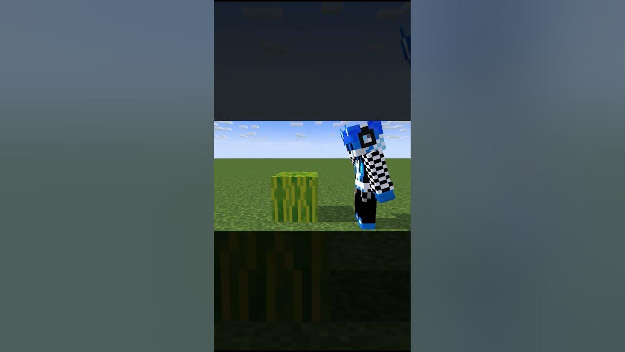 Арбуз Арбуз пердани и отправь меня на Мальдивы Minecraftanimation