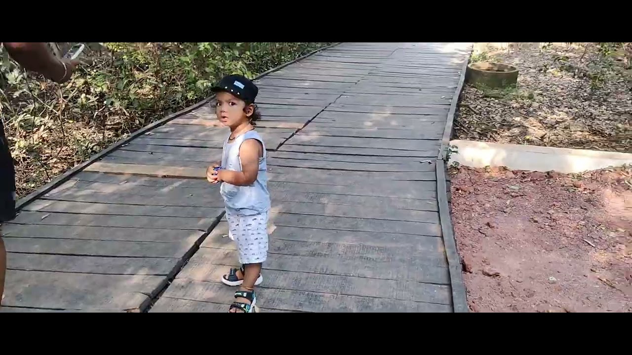 coringa wildlife sanctuary||kakinada||best place to visit||కోరింగ ...