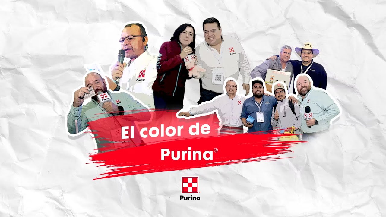 El color de Purina®… en AMVECAJ 2024 - YouTube