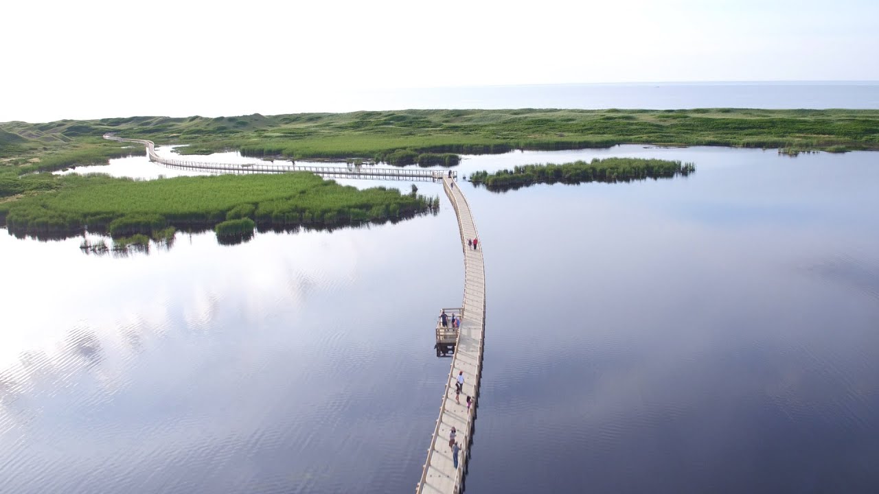 Floating Trail System - EZ Dock - YouTube