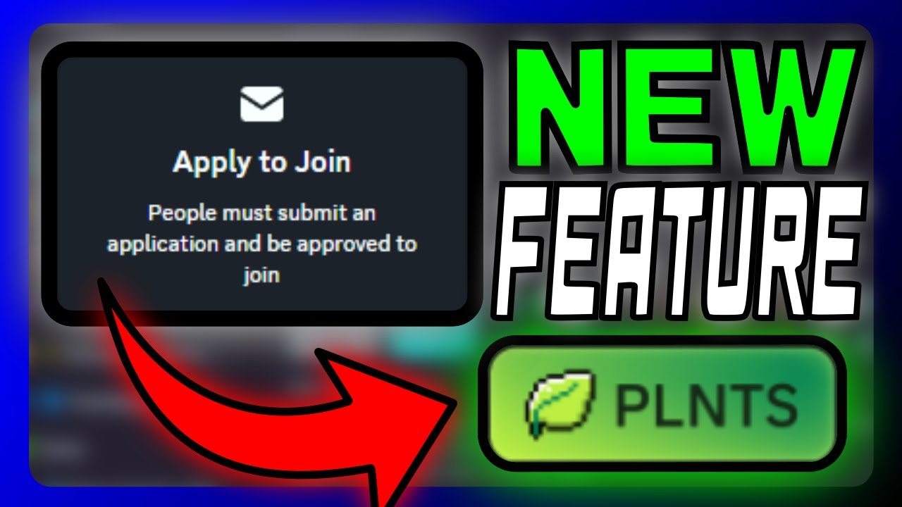 How To Use Discord's New Server Application Feature! | Discord Guilds ...