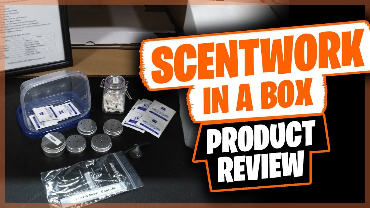Product Review Scentwork In a Box - YouTube