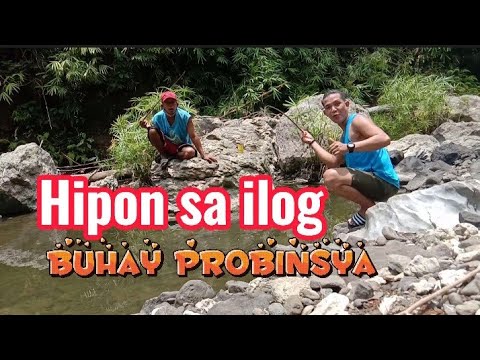 How to catch a SHRIMP in the river?(paninilo ng HIPON sa ilog)# ...