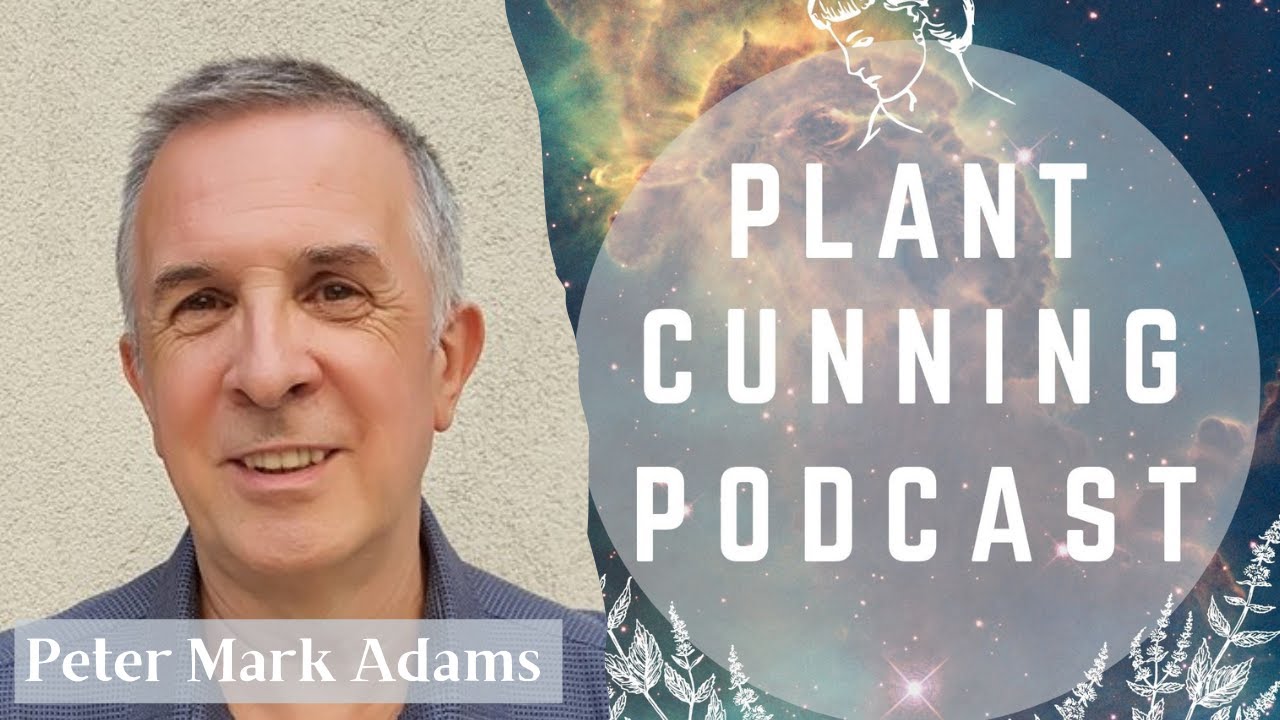 Ep.72: Peter Mark Adams on The Power of the Healing Field and Energy ...