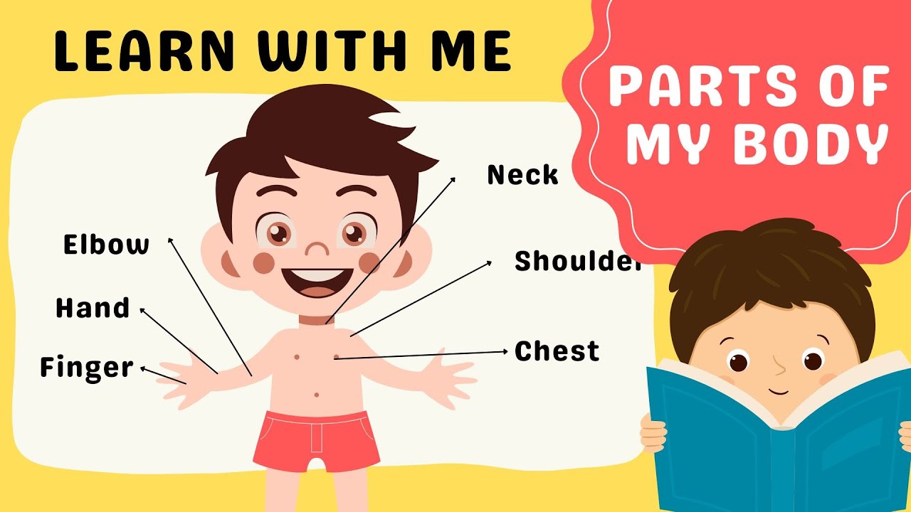 Body - Parts of the Body Song - Learn English for kids - Learn Body ...