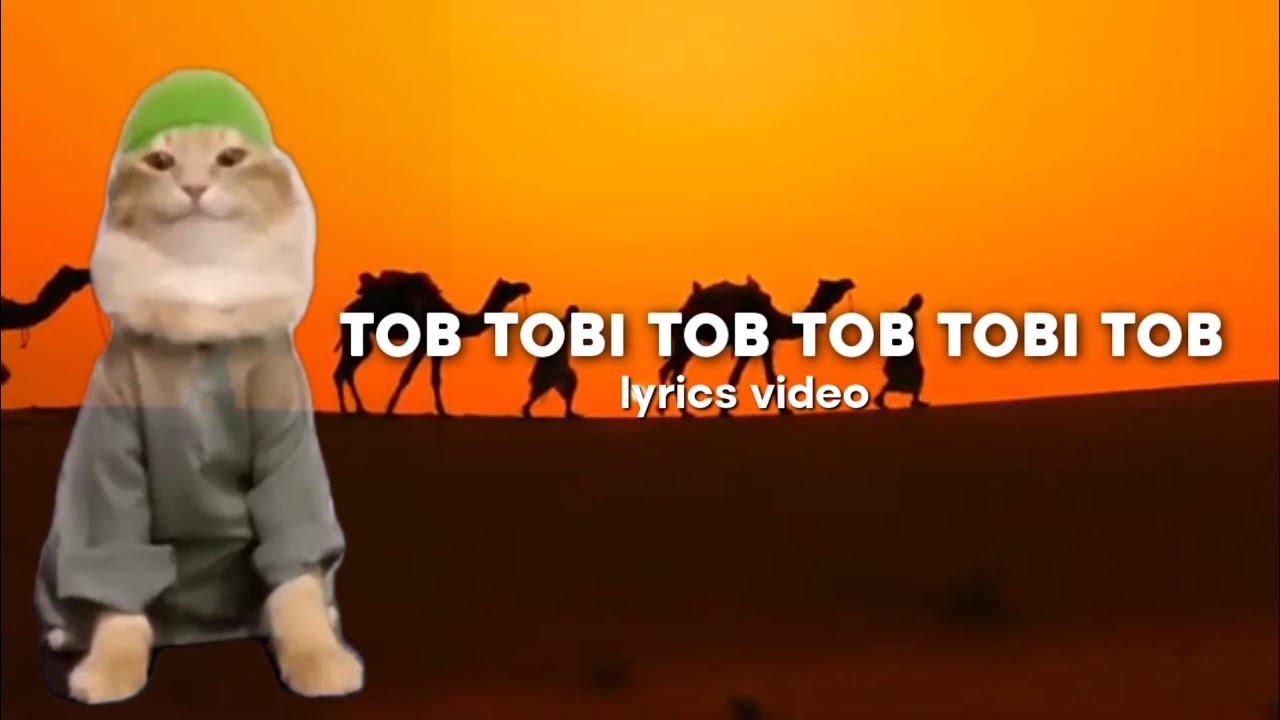Tob Tobi Tob Tob Tobi Tob Lyrics Video Muslim Cat Meme - YouTube