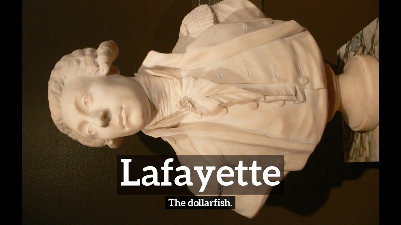 What is Lafayette? | How Does Lafayette Look? | How to Say Lafayette in ...