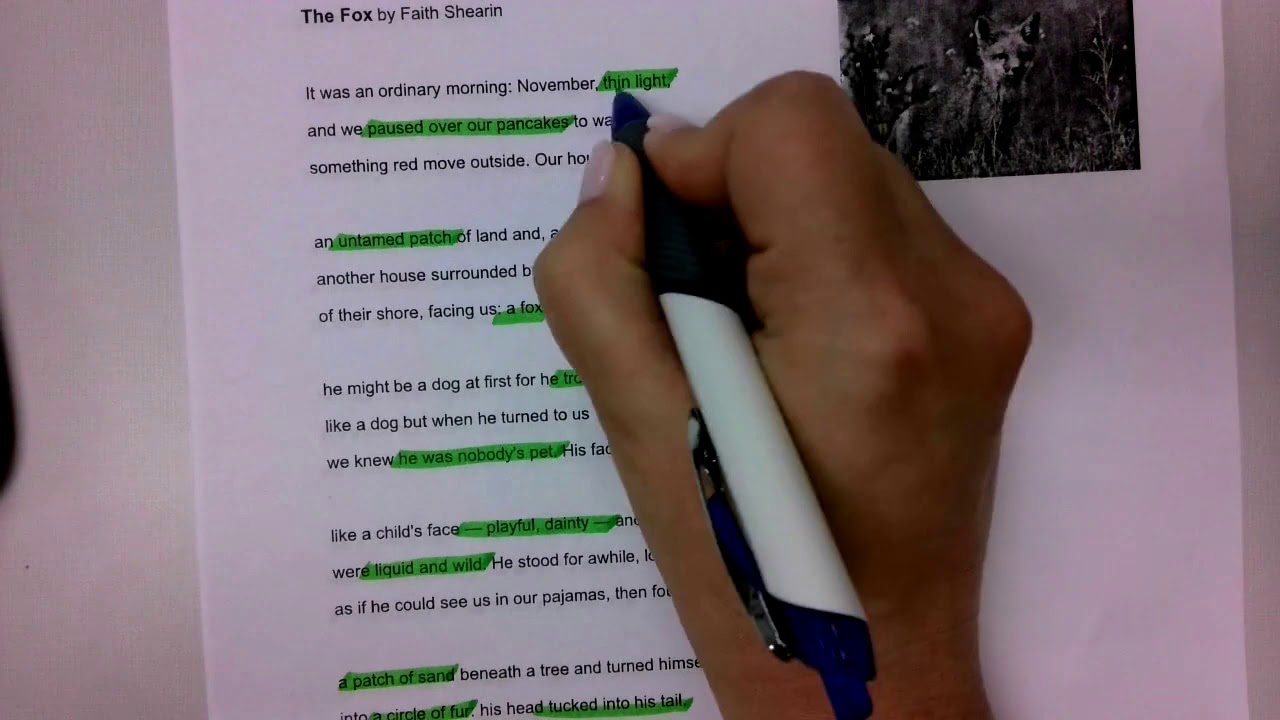 How to Annotate Poetry using "The Fox" by Faith Shearin - YouTube