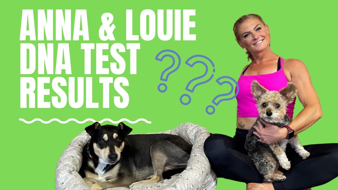 THE RESULTS ARE IN! WHAT BREEDS ARE LOUIE AND ANNA? - YouTube