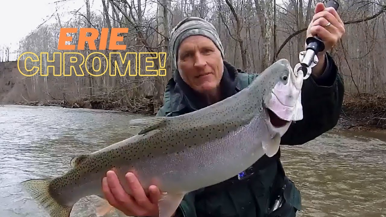 Erie Steelhead (Chrome Time!) - YouTube