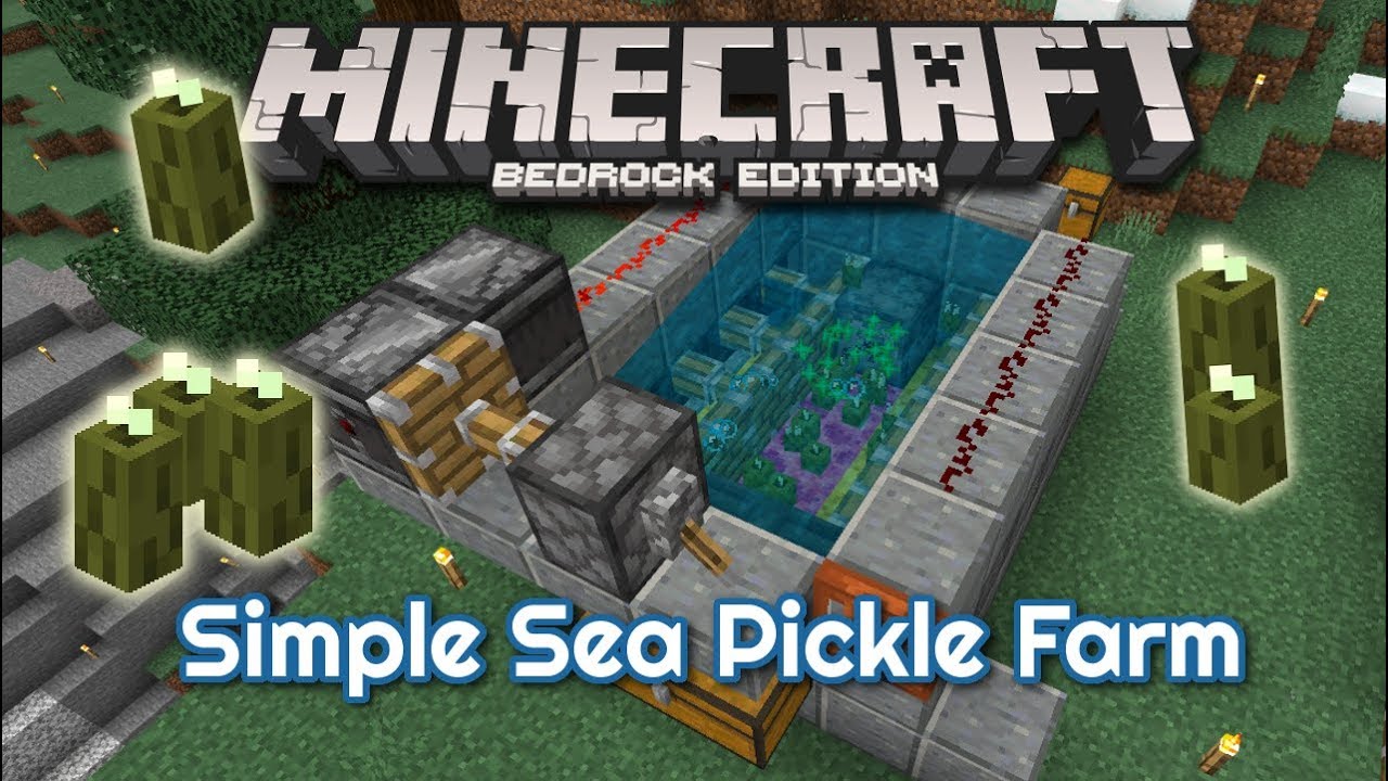 Tutorial: The Pickle Machine - super simple sea pickle farm for ...