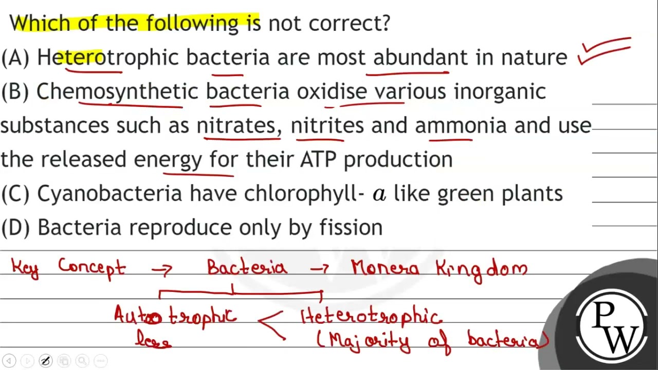 Heterotrophic Bacteria