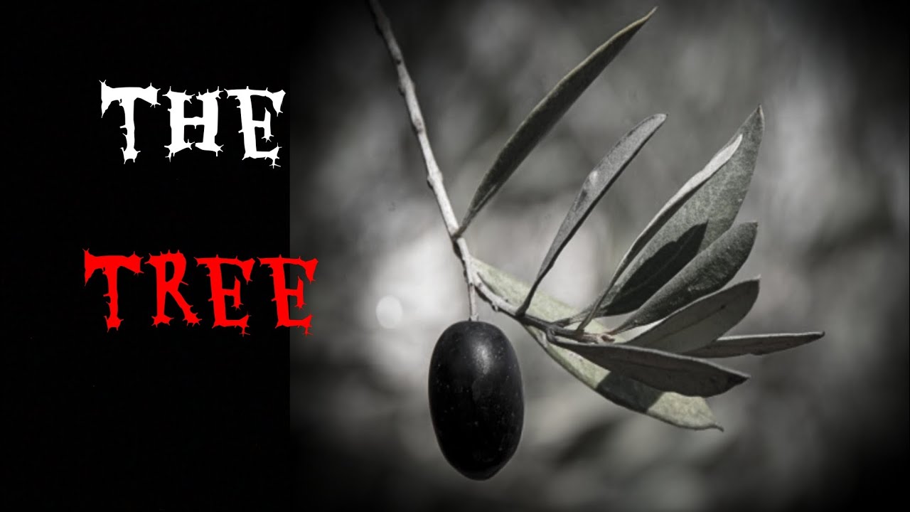 The Tree | By H.P. Lovecraft - YouTube