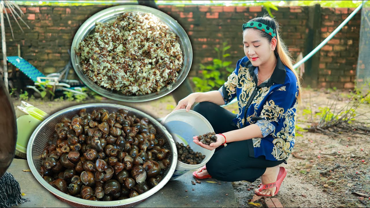Yummy snail curry, red ant egg cooking, coconut drinking and tasty meal ...