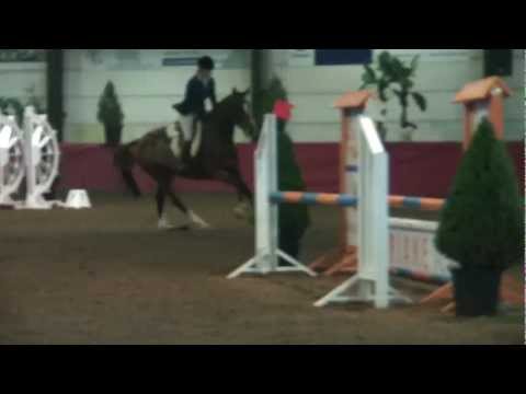 Atureusa ( padinus x calvados)