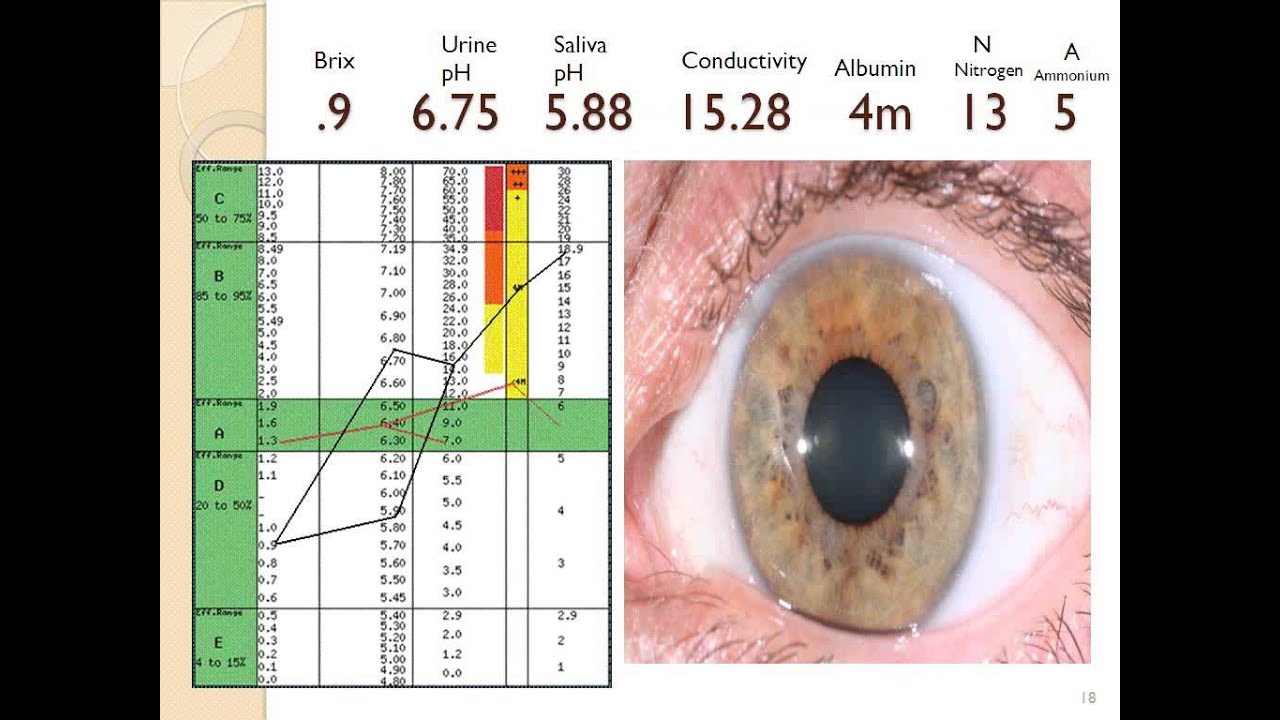 An Introduction to RBTI Nutritional Coaching course offered at SIHA ...