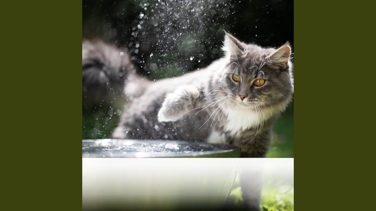 Soft Scenery Amid Arborescent Flora - YouTube