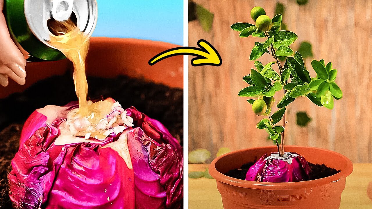 FÁciles Trucos Para Cortar A Tajos En Jardines De Interior Youtube