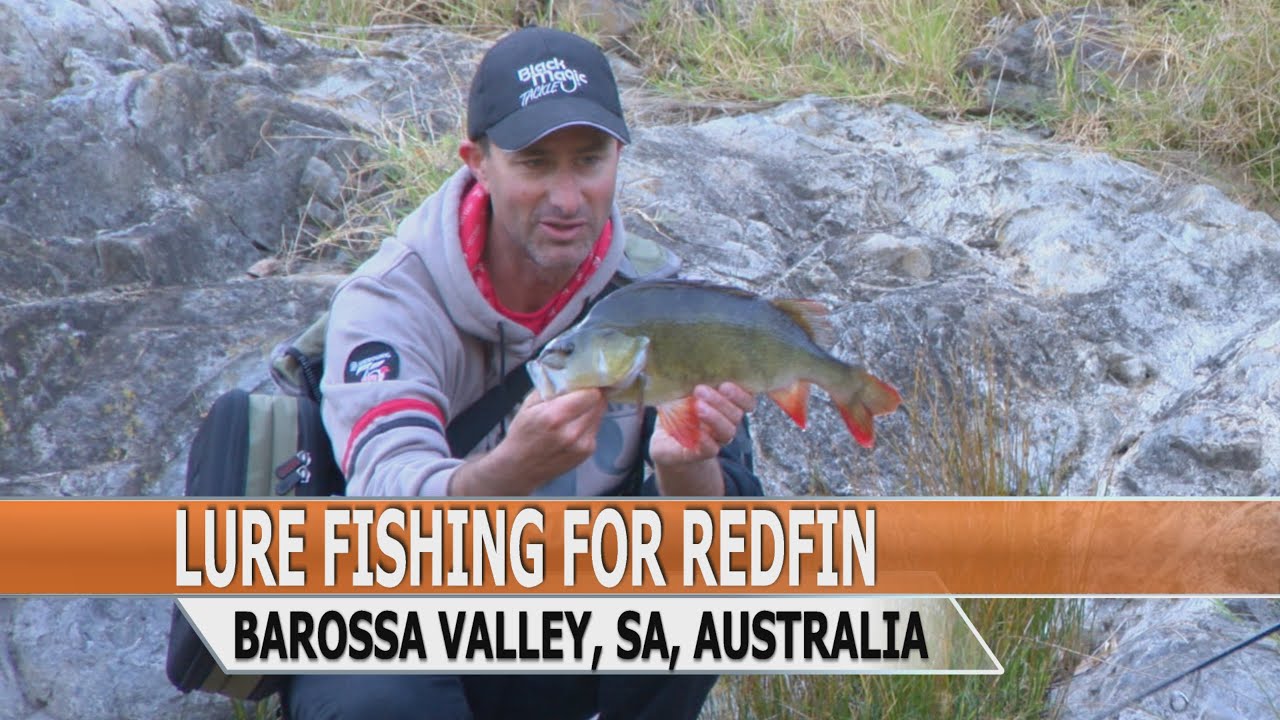 Fishing Edge episode - River fishing for redfin in the Barossa Valley ...