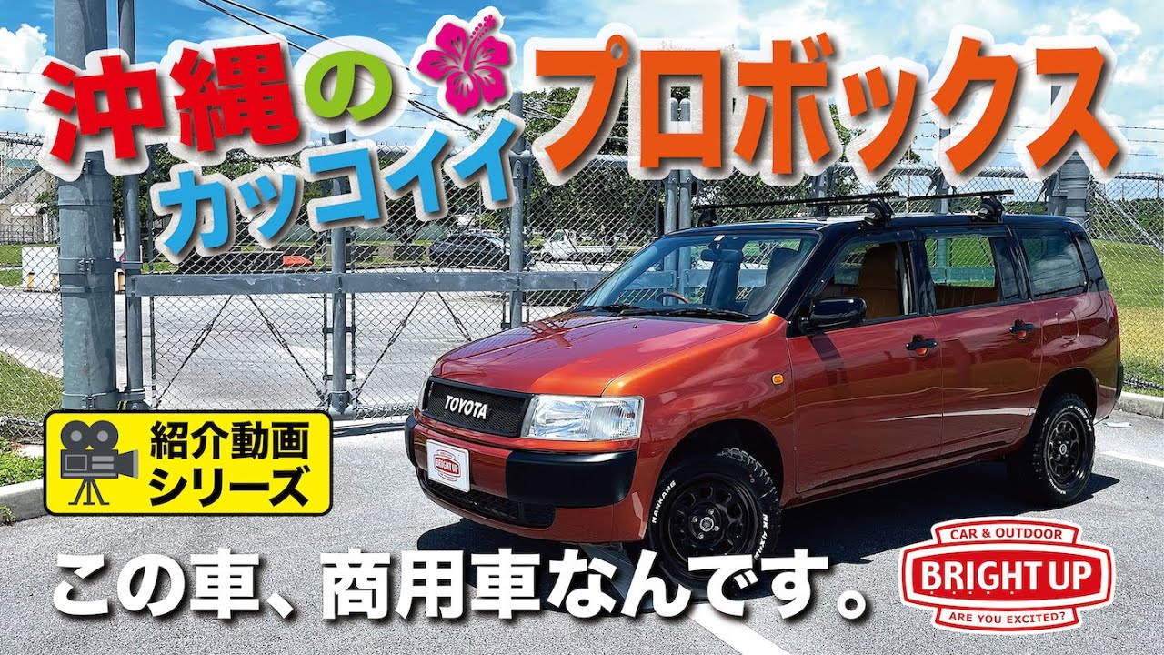 【プロボックスカスタム】この前納車したプロボックスがカッコよかったので紹介動画作ってみたよー オールペン シートカバー ブライトアップ ブライトライフ TOYOTA ProBox - YouTube