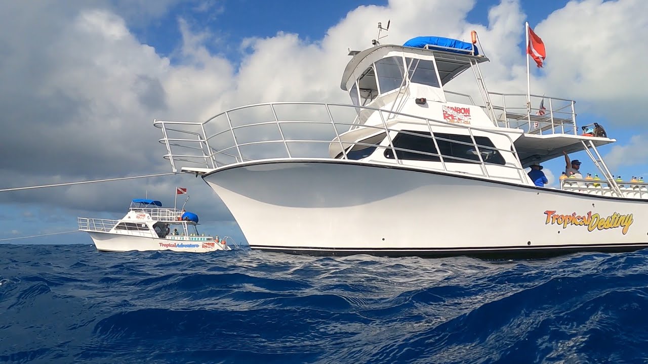 Fun in Key Largo with Parrot Fish and Rainbow Reef Dive Center 7 22 25 ...
