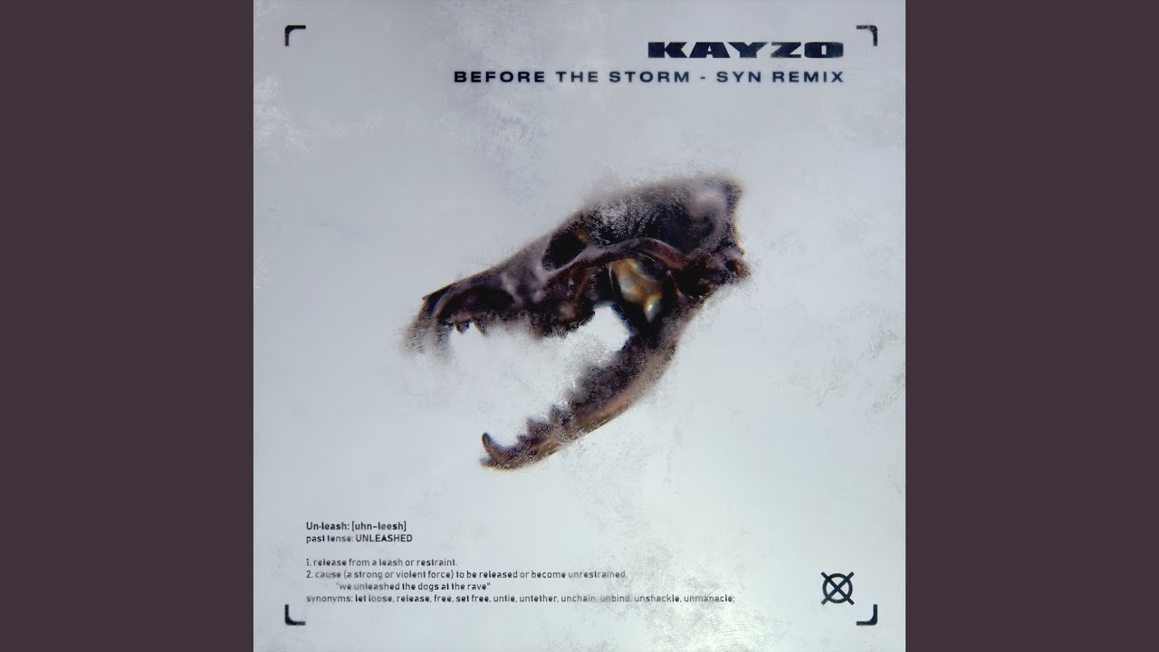 Before The Storm (SYN Remix) - YouTube Music