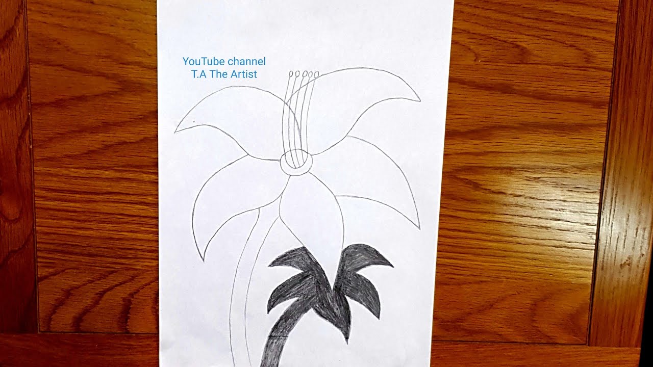 How To Draw 3D Flower, Trick Art Easy Step By Step drawing Tutorial For ...