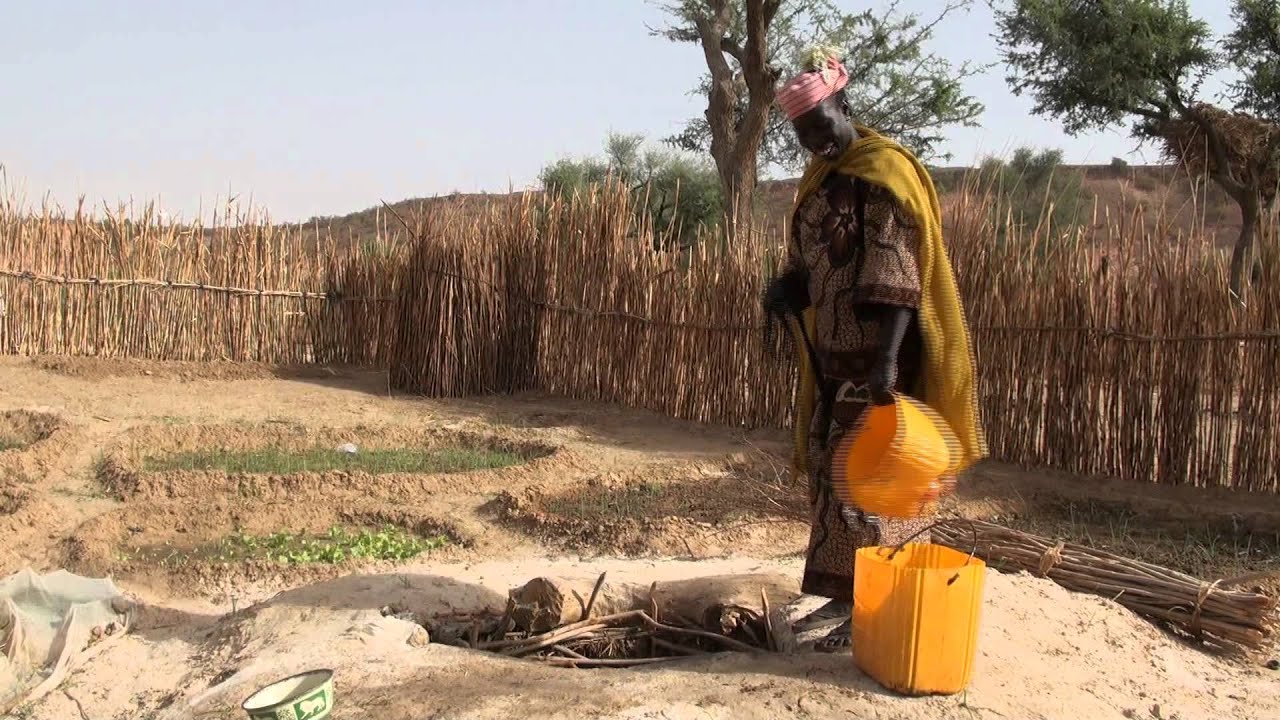 SWISSAID soutient les femmes du Dallol Bosso, au Niger, dans leurs ...