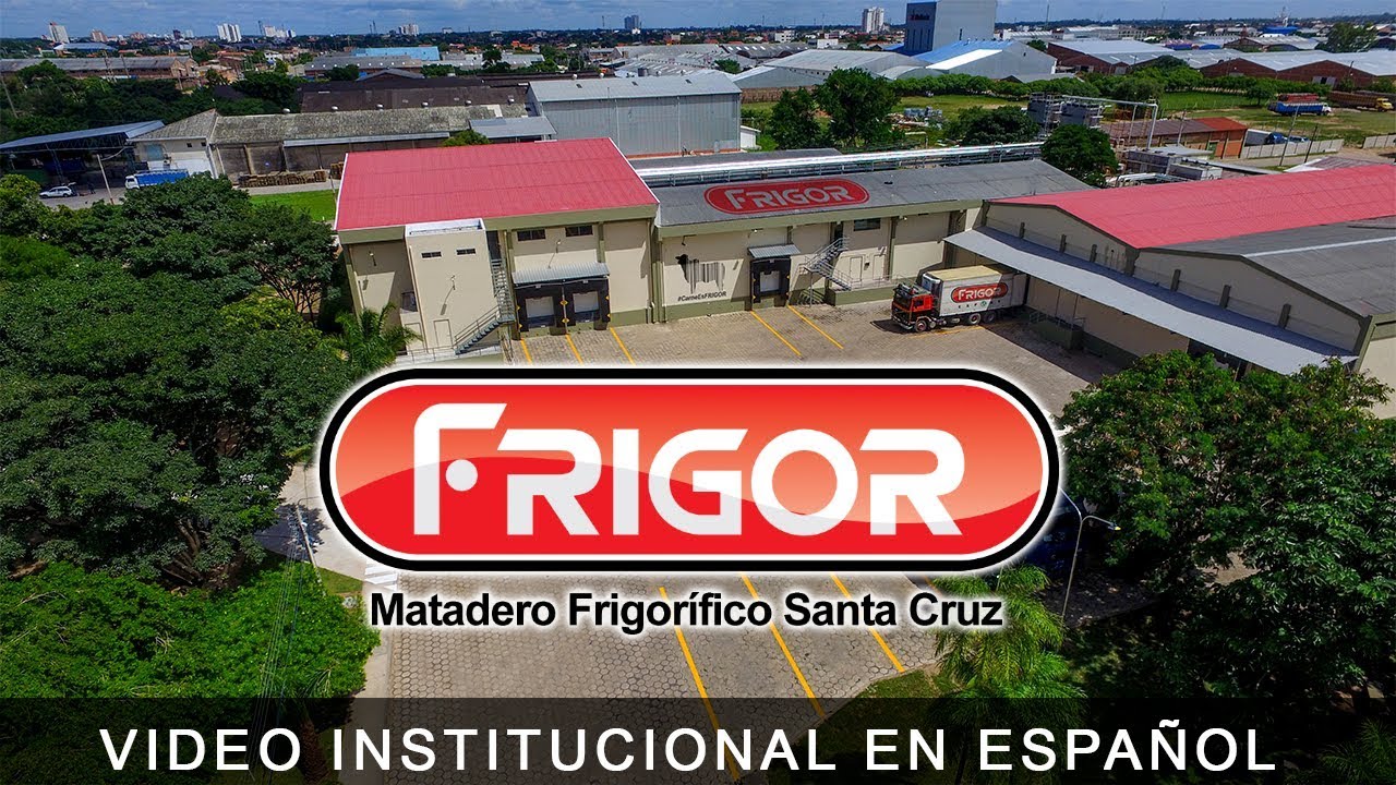 FRIGOR INSTITUCIONAL 2019 ESPAÑOL - YouTube