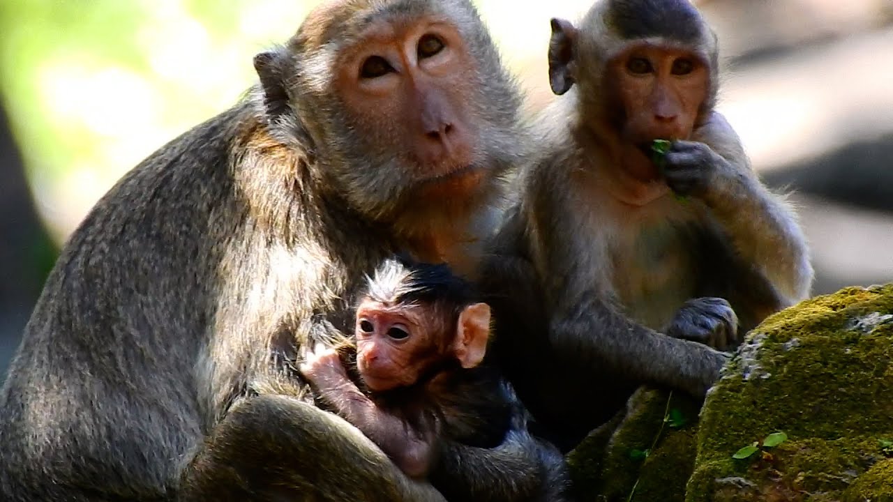 Queen Maria & daughter Mariel welcome new baby! Family portrait. Maria ...