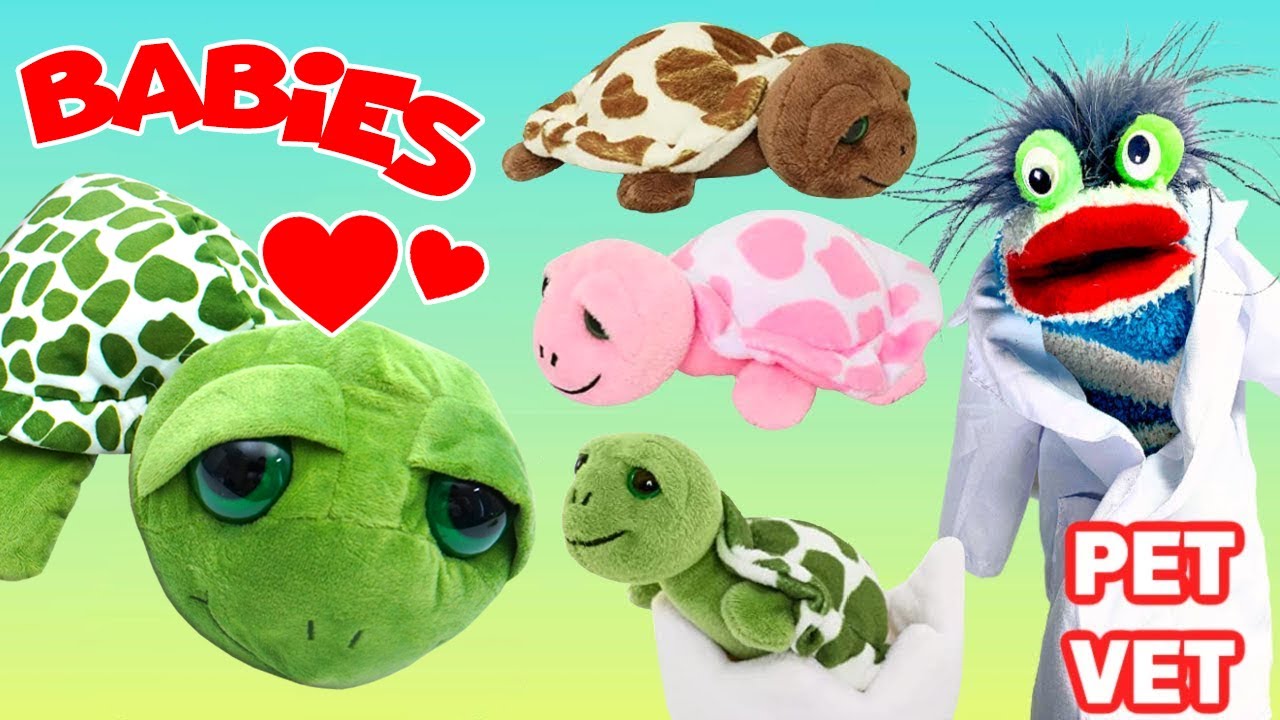 Fizzy the Pet Vet Helps Mama Turtle with Babies Lay Eggs - YouTube