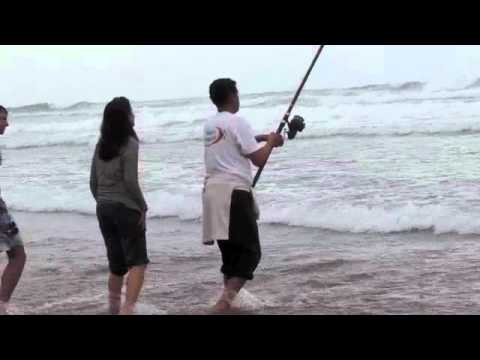 pêche à la courbine - YouTube