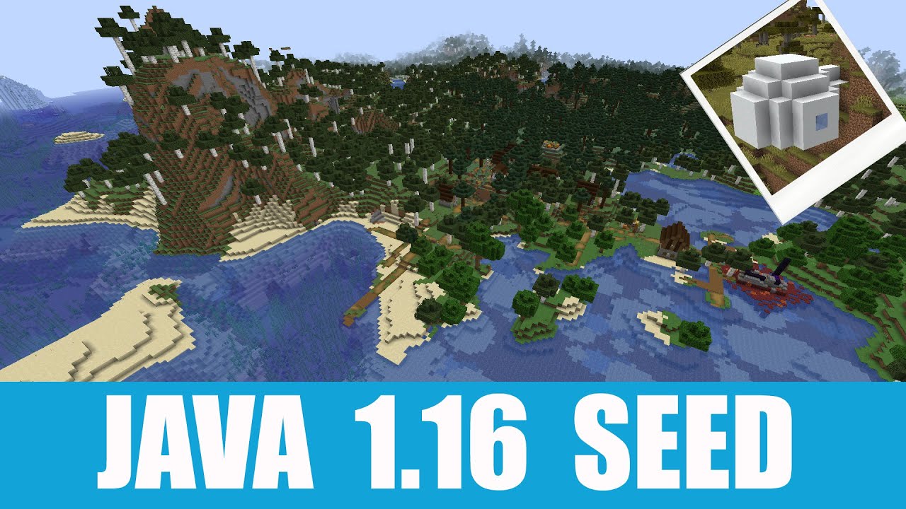 Minecraft Java 1.16 Seed: Birch forest village with ruined portal at ...