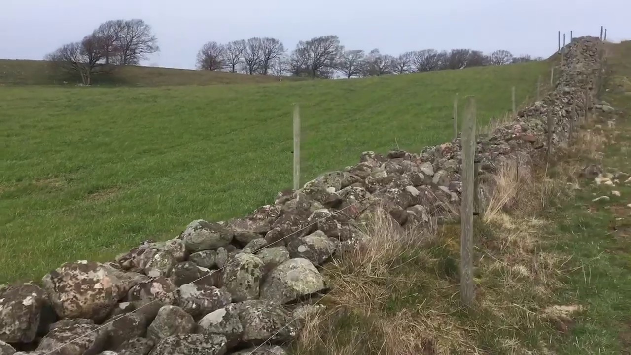Grevie backar # 3" - YouTube