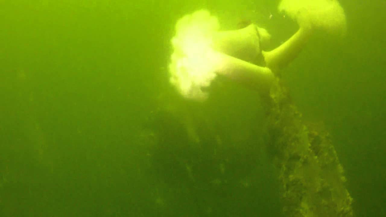 Redondo Beach Dive 2, August 1, 2015 R&B - YouTube