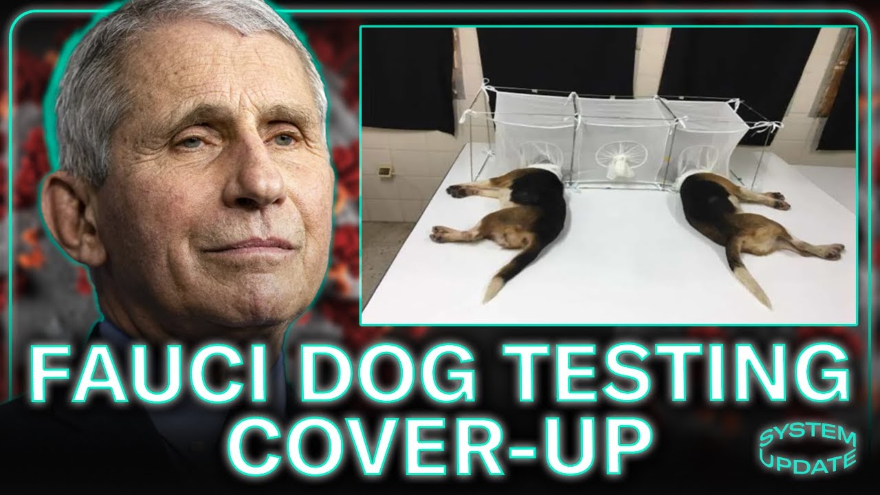 Dr. Fauci's Dog Experiment Cover-Up: EXPLAINED by Reporter Leighton ...