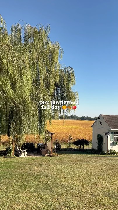 Sights and sounds of fall 🎃🍂🍎🌽👻 #fall #vlog - YouTube