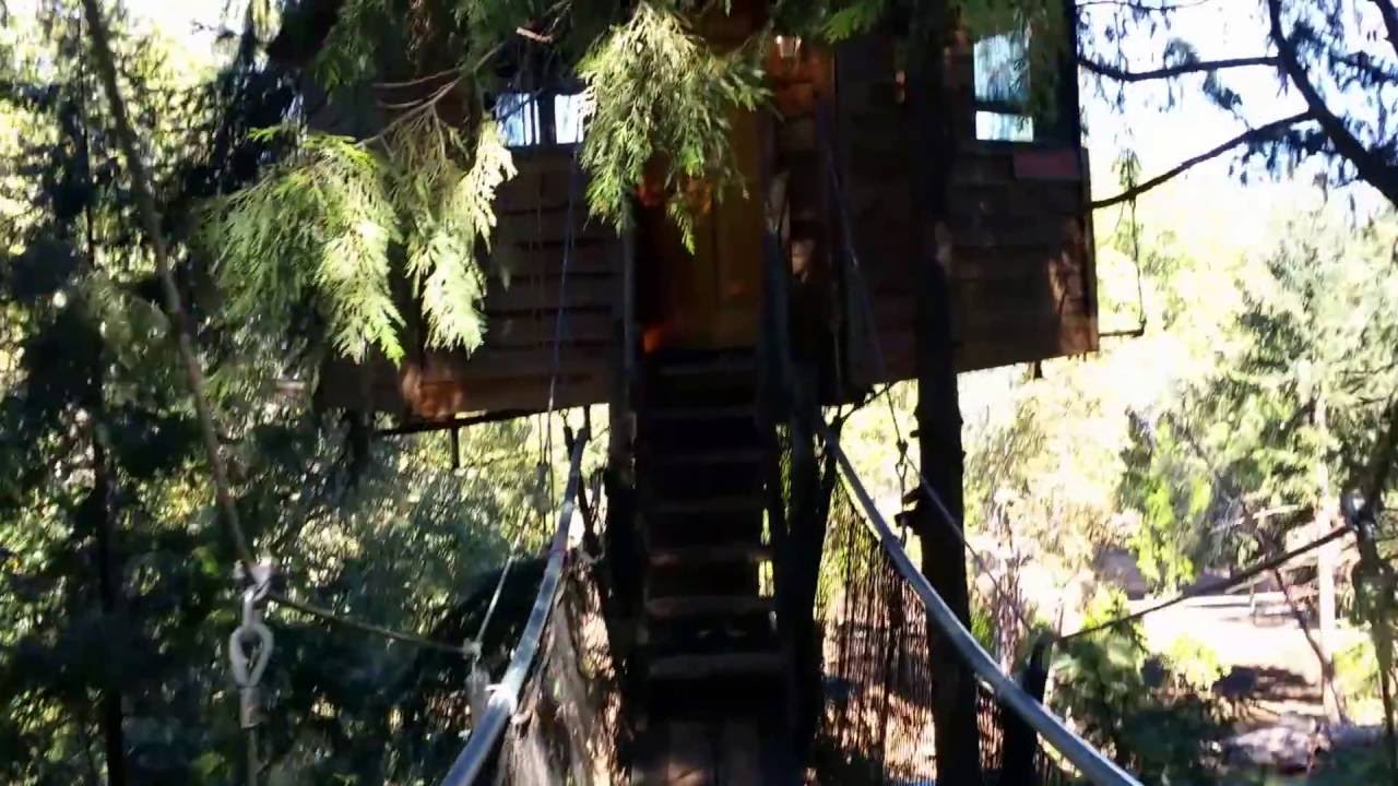 One Tree Treehouse - YouTube