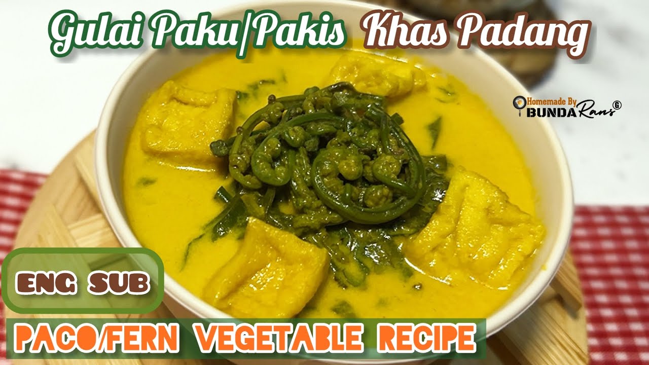 GULAI PAKU/PAKIS Khas Padang || Cara Memasak Sayur Paku/Pakis || Paco ...