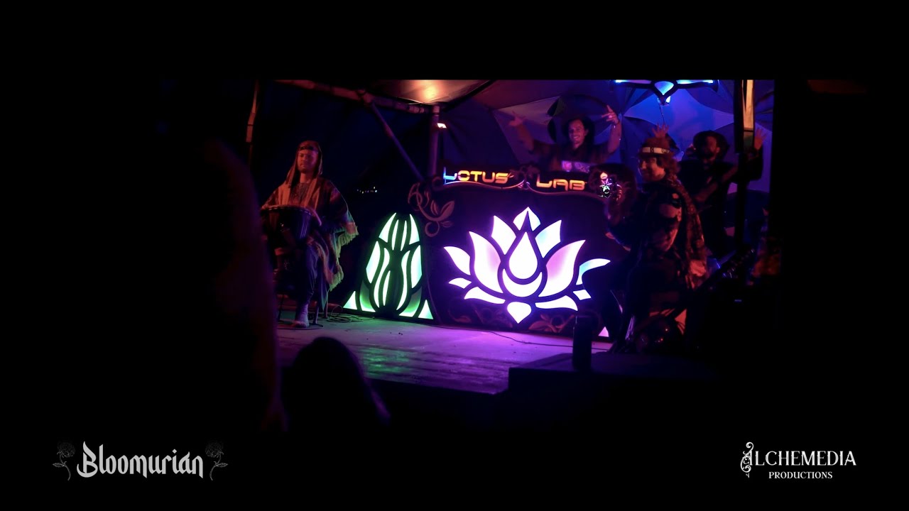 Bloomurian Lucidity DJ Set :: Lotus Lab Water Flow Stage - YouTube