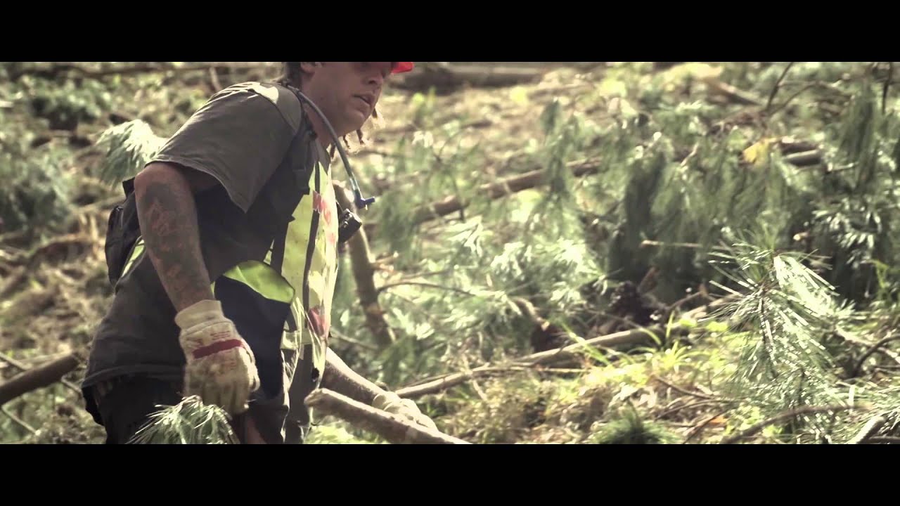 Meet Tyler - Head Breaker Out - Safetree™ - YouTube