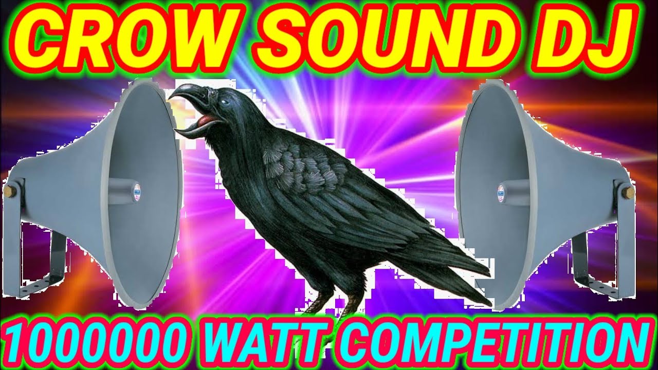 Crow sound competition dj//Crow horn dj competition music/dj - YouTube